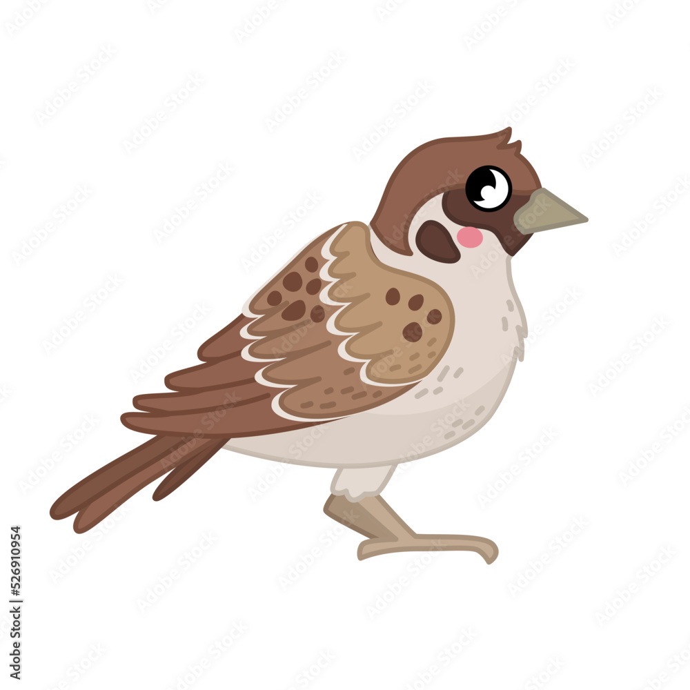 Vector illustration of cartoon cute sparrow isolated on white ...