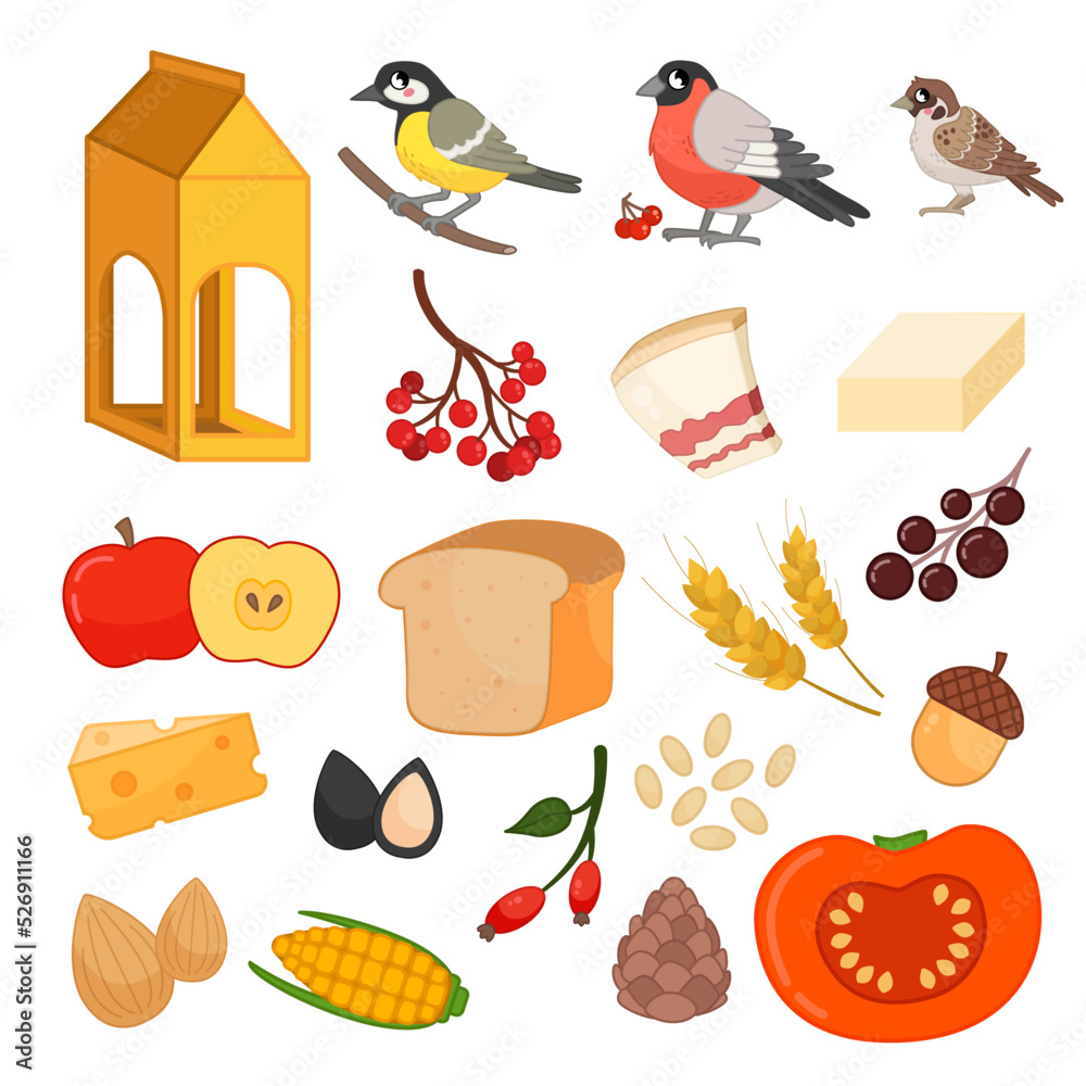 Vector illustration of urban birds. Cartoon food icons for feeding ...
