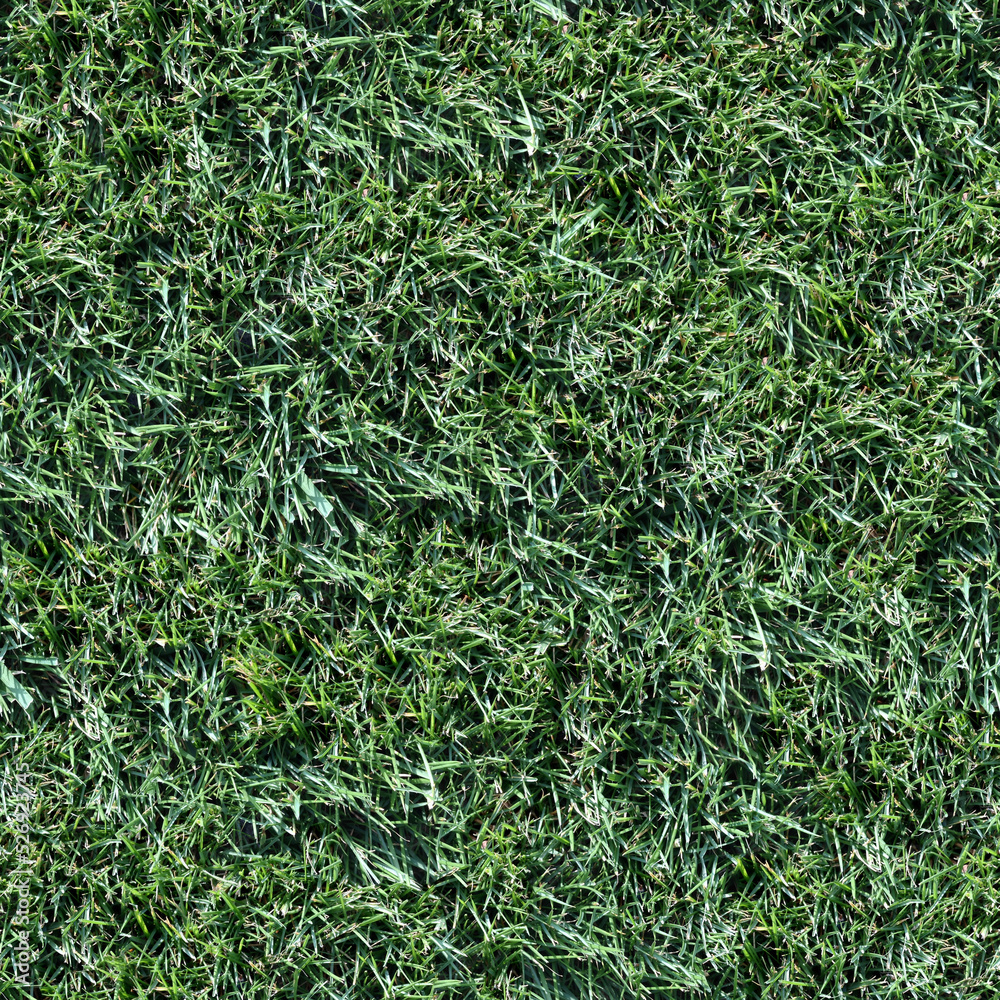 Seamless Grass Texture. Lawn, meadow. Golf, football, baseball, tennis ...