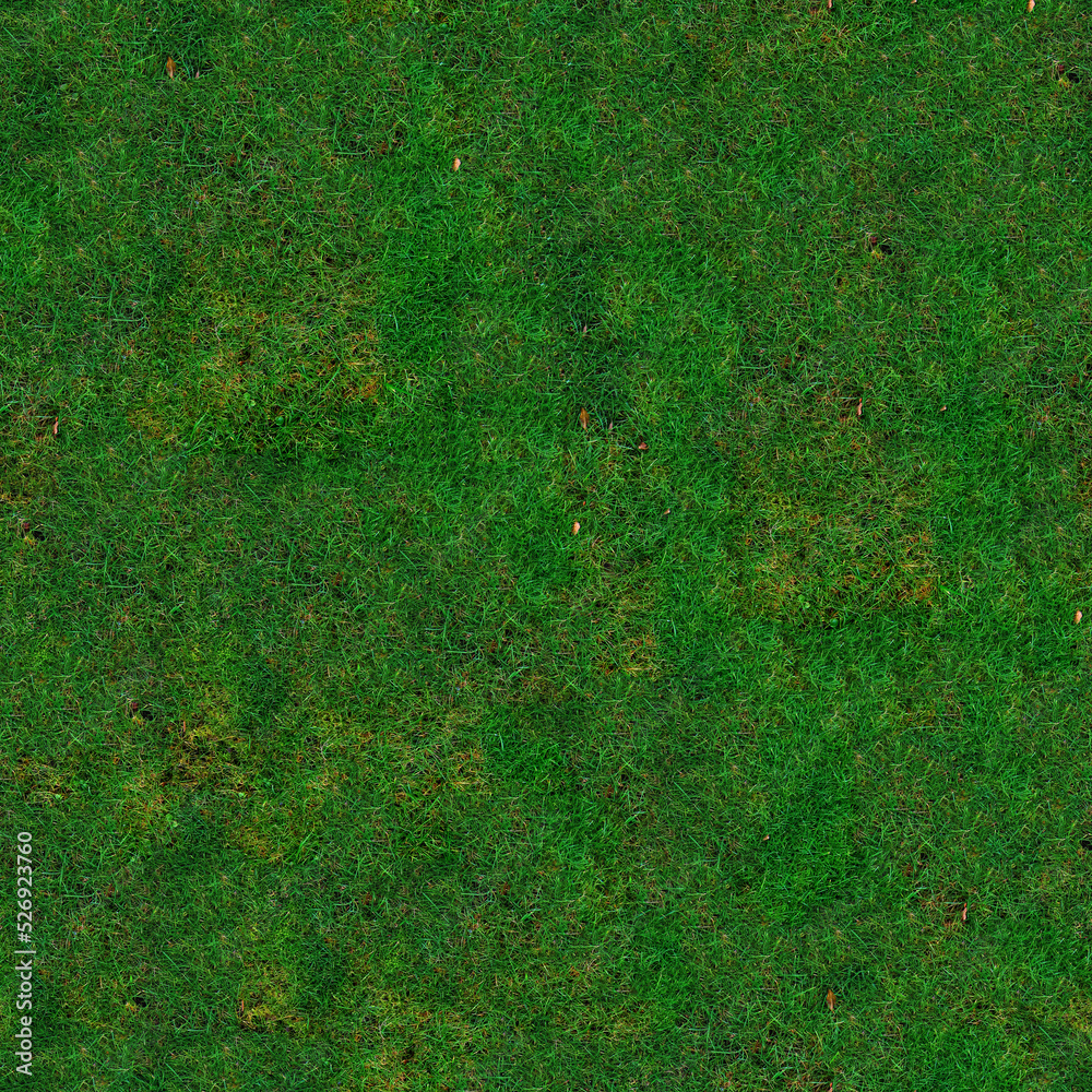 Seamless Grass Texture. Lawn, meadow. Golf, football, baseball, tennis ...
