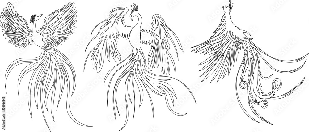 phoenix bird sketch,outline vector, isolated Stock Vector | Adobe Stock