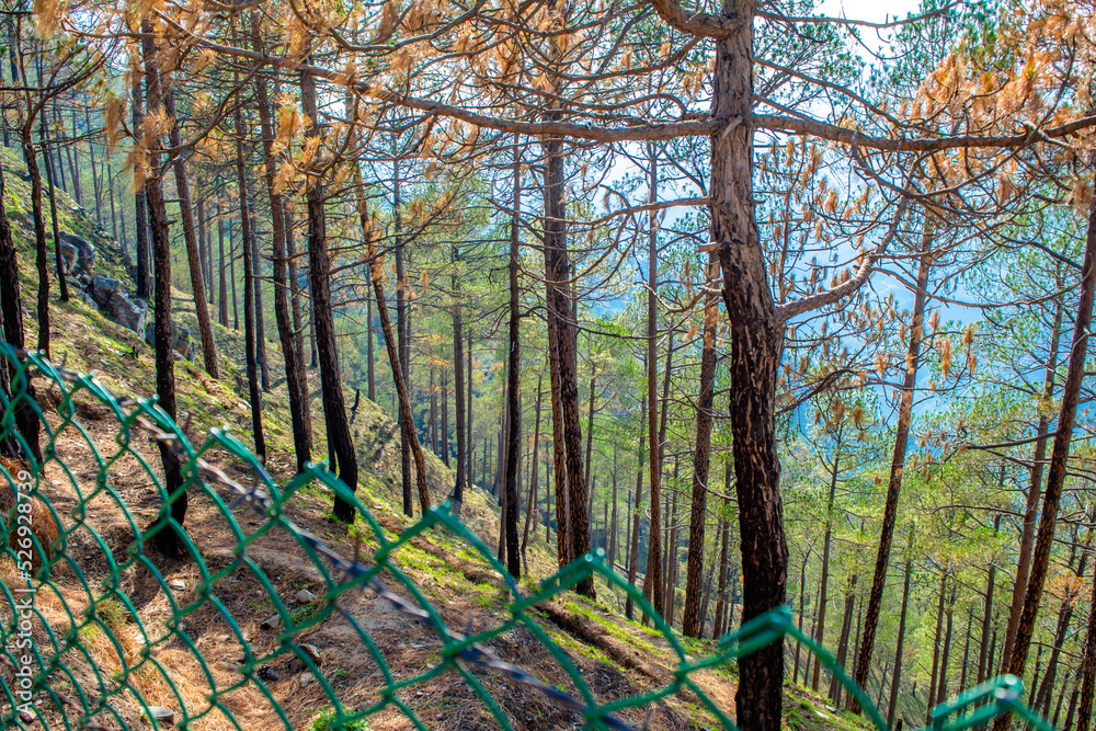 Tehri lake surrounded by mountains in Uttarakhand, india, Tehri Lake is ...