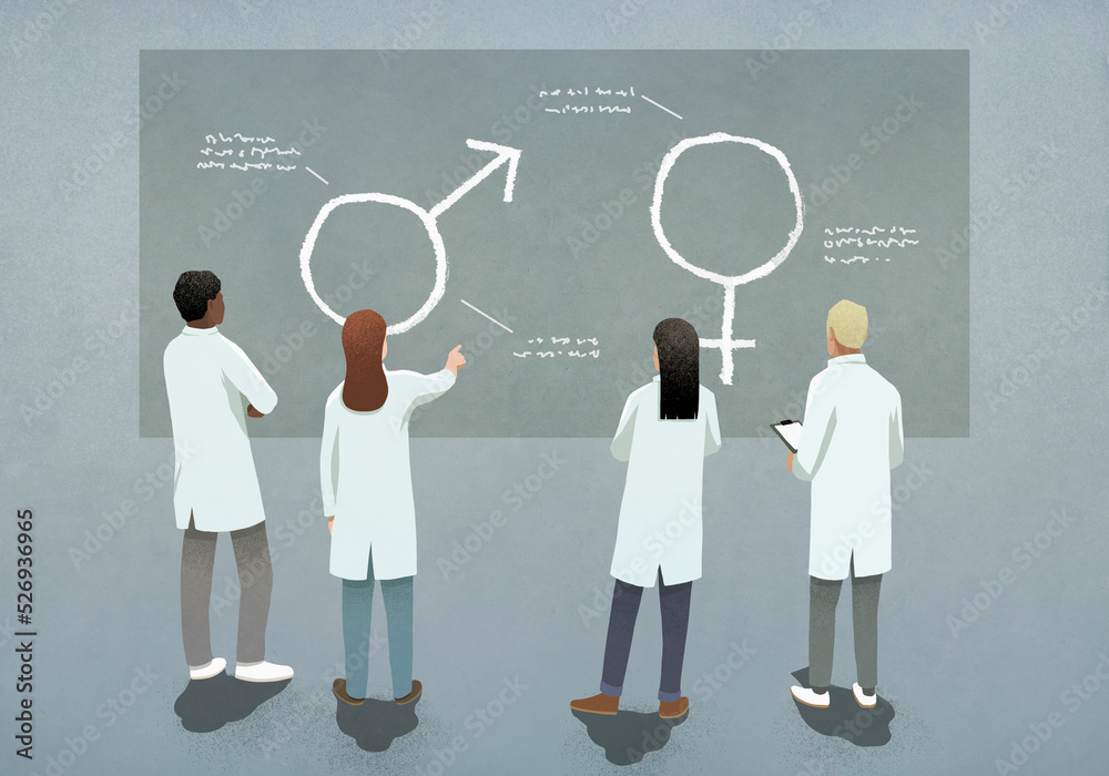 Scientists looking at male and female symbols on blackboard Stock ...