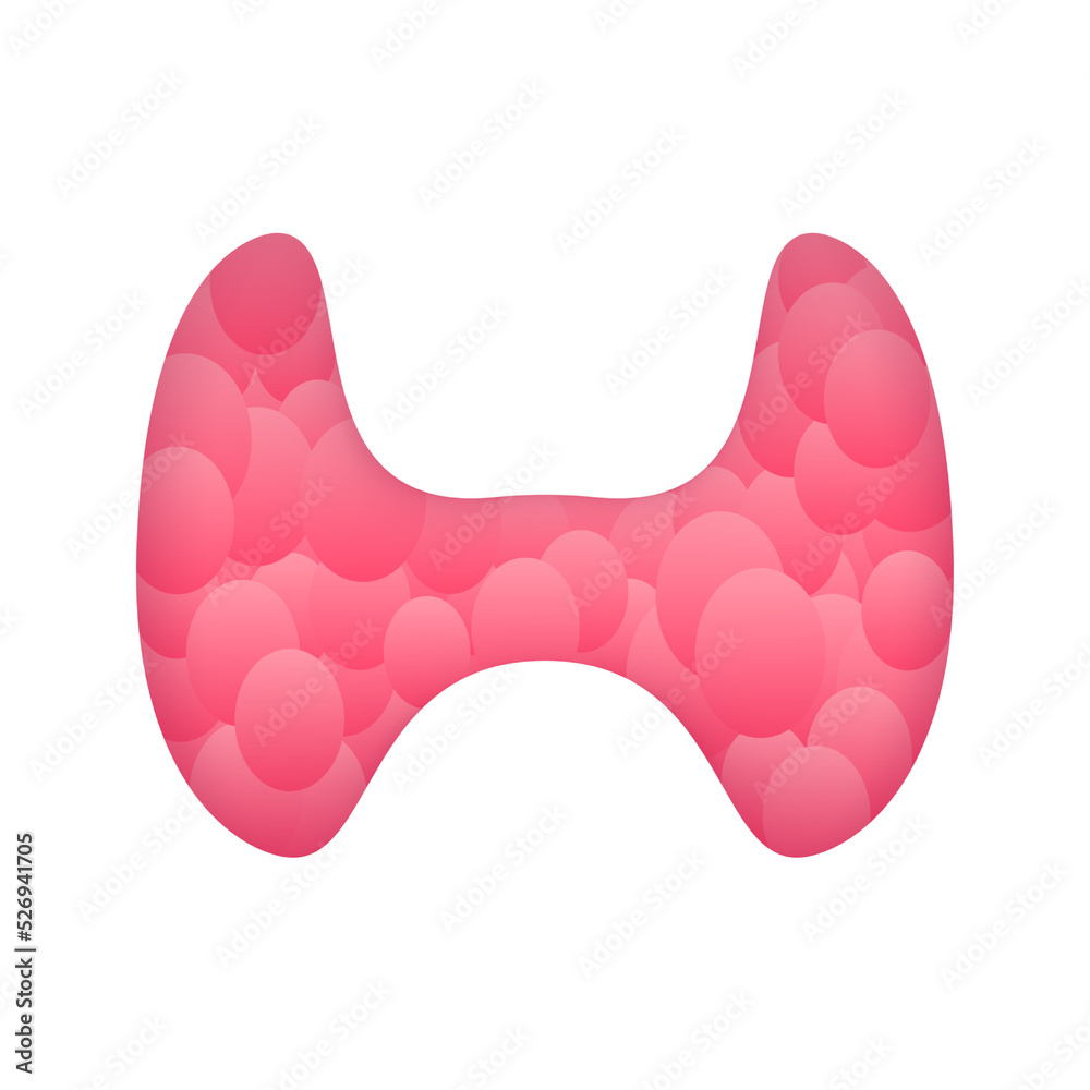 Anatomy of the thyroid gland, Thyroid of a human. Infographic for ...