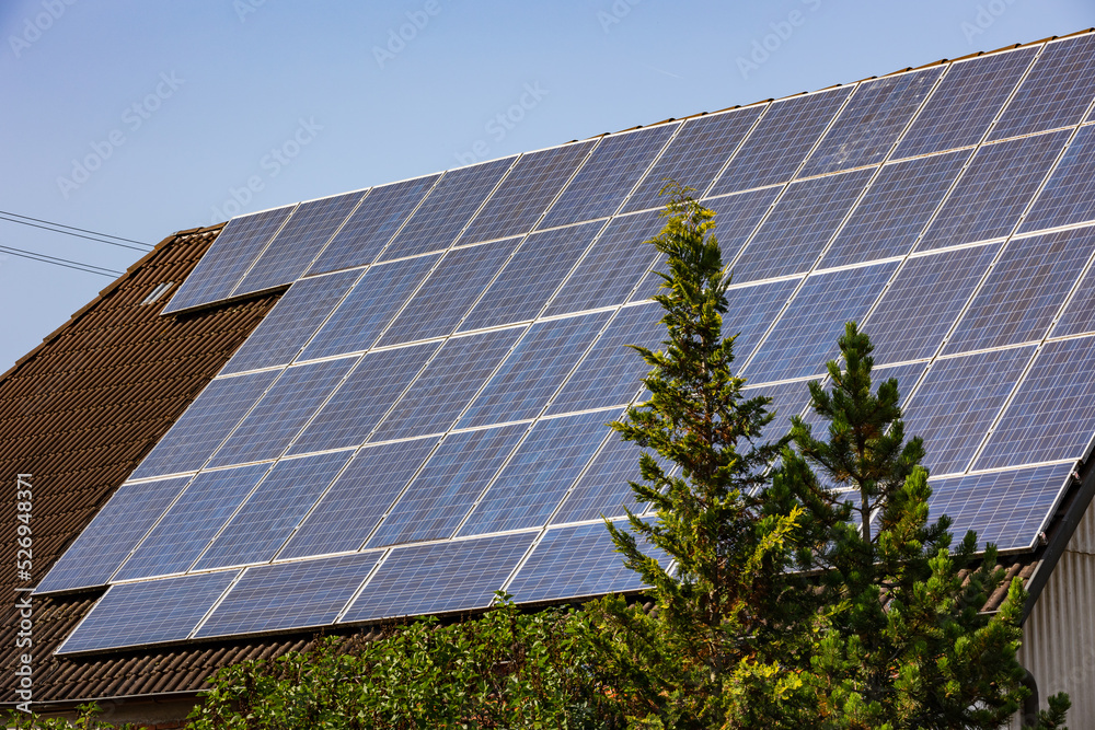 Shading by a tree on a large photovoltaic system with solar panels on a ...