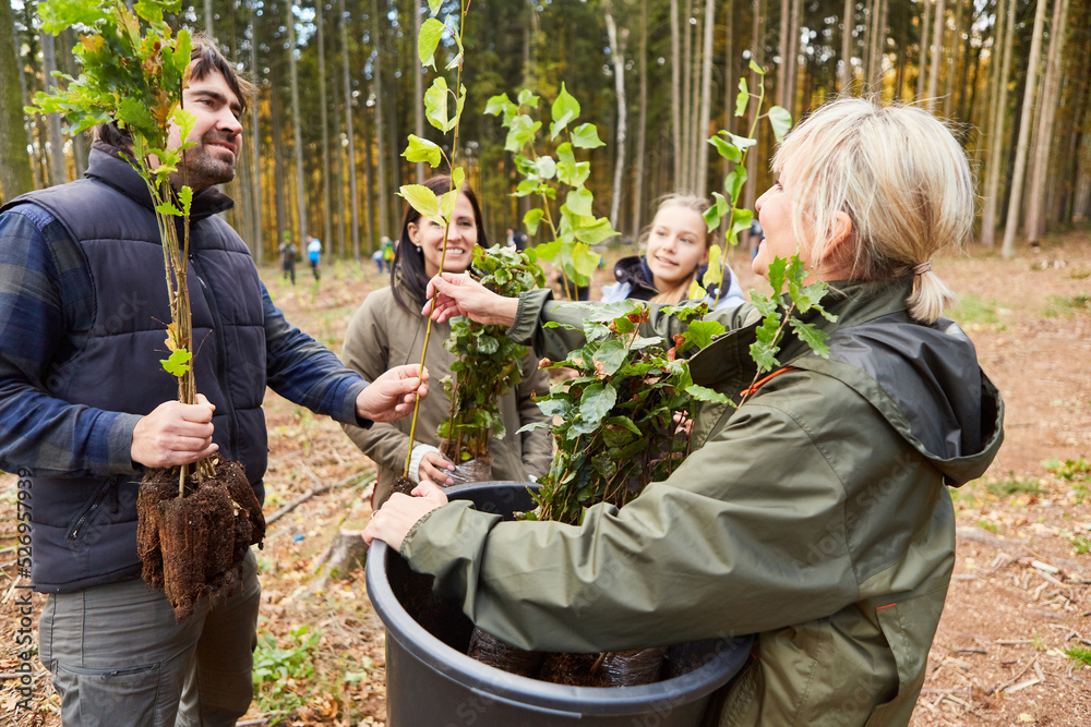 Group of volunteers distributing seedlings Stock Photo | Adobe Stock