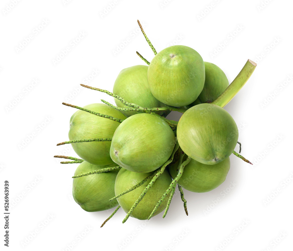Top view of Young green coconut isolated on white background. Clipping ...
