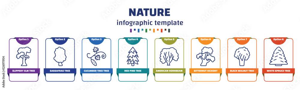 infographic template with icons and 8 options or steps. infographic for ...