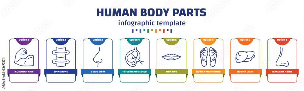 infographic template with icons and 8 options or steps. infographic for ...