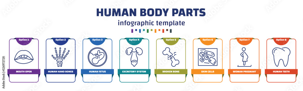 infographic template with icons and 8 options or steps. infographic for ...