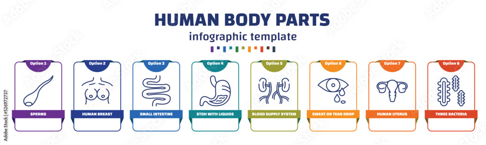 infographic template with icons and 8 options or steps. infographic for ...