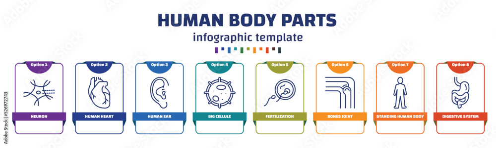infographic template with icons and 8 options or steps. infographic for ...