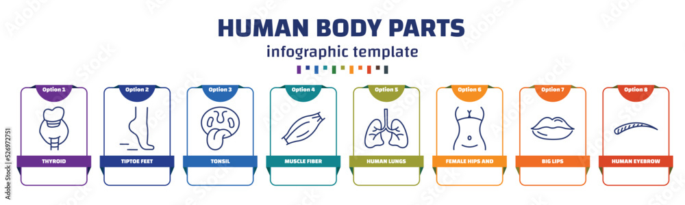 infographic template with icons and 8 options or steps. infographic for ...
