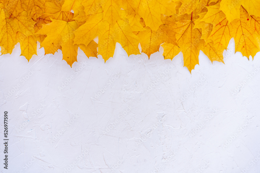 Autumn leaves frame on white background top view Fall Border yellow and ...