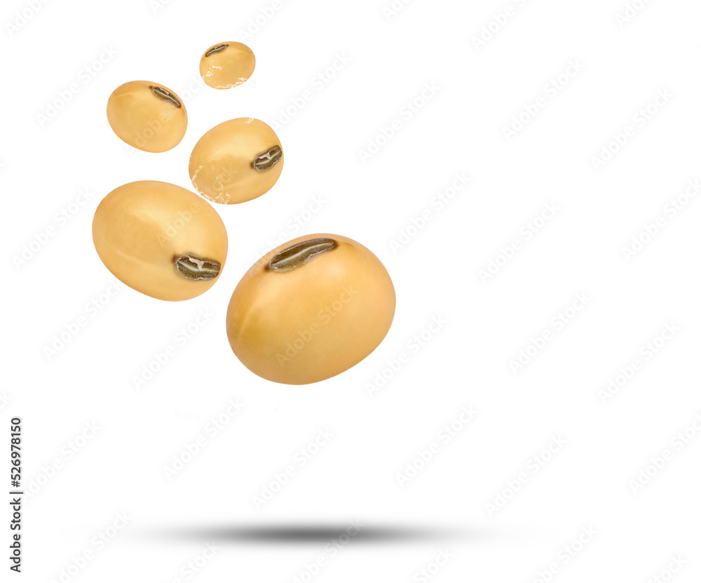Water splashing on roasted soybeans on transparent background. (.PNG ...