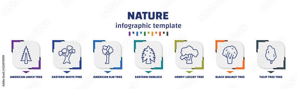 infographic template with icons and 7 options or steps. infographic for ...