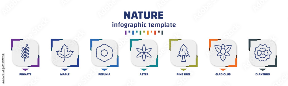 infographic template with icons and 7 options or steps. infographic for ...