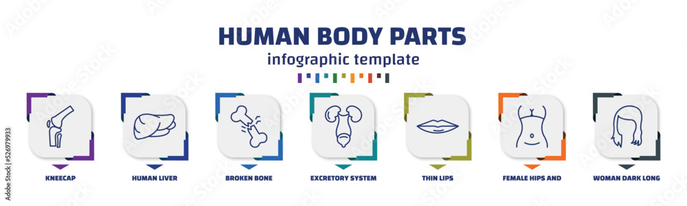 infographic template with icons and 7 options or steps. infographic for ...
