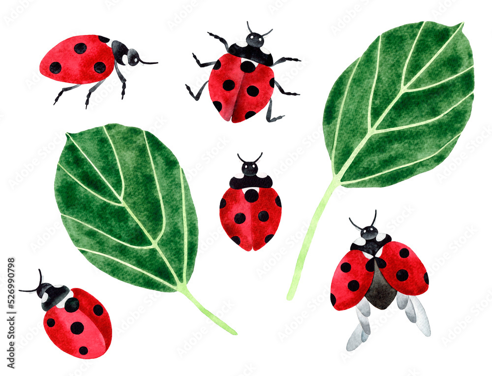 Hand painted watercolor illustration set with red ladybugs and leaves ...