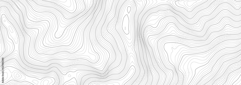 black and white abstract topographic line contour map background ...