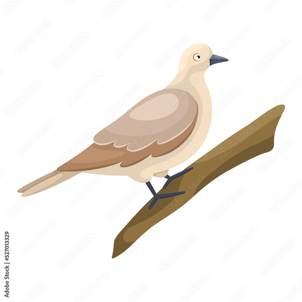 Flat style cartoon wild dove sitting on a branch. Simple clipart for ...