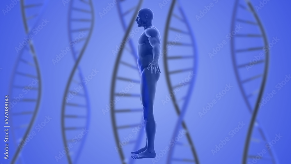 3d medical background with human body and DNA strands Stock ...