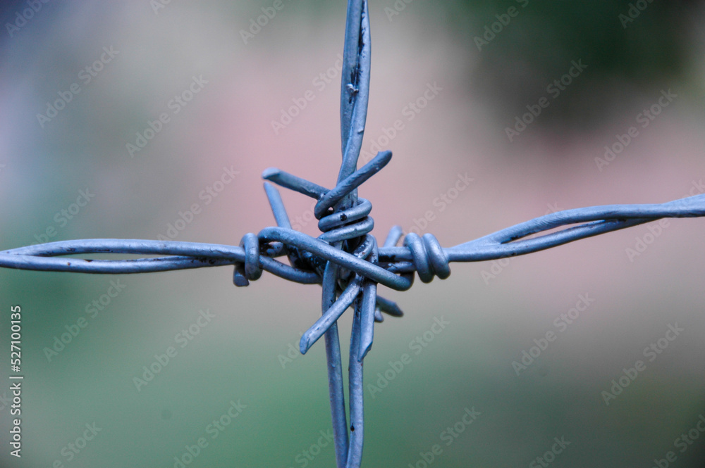 Barbed wire join centered as a 'plus sign' with four quadrants against ...
