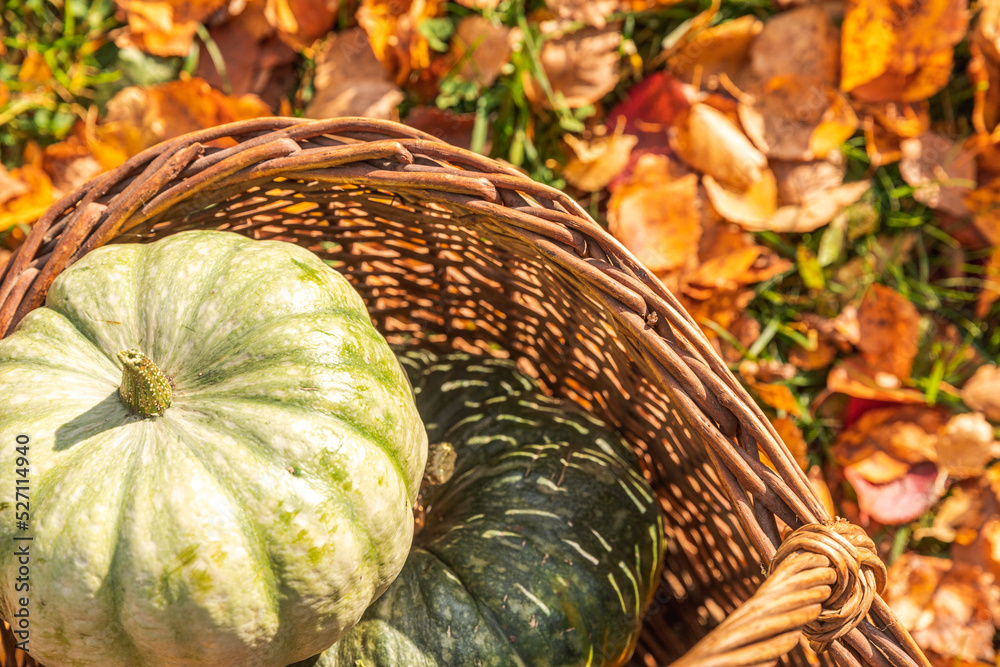 October Pumpkins And Leaves