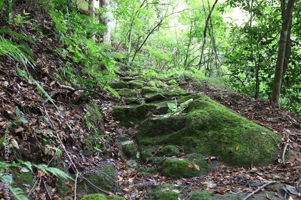 Sakunami, Sendai, .Ana Yakushi of Iwayado (Yakushi Nyorai enshrined in ...
