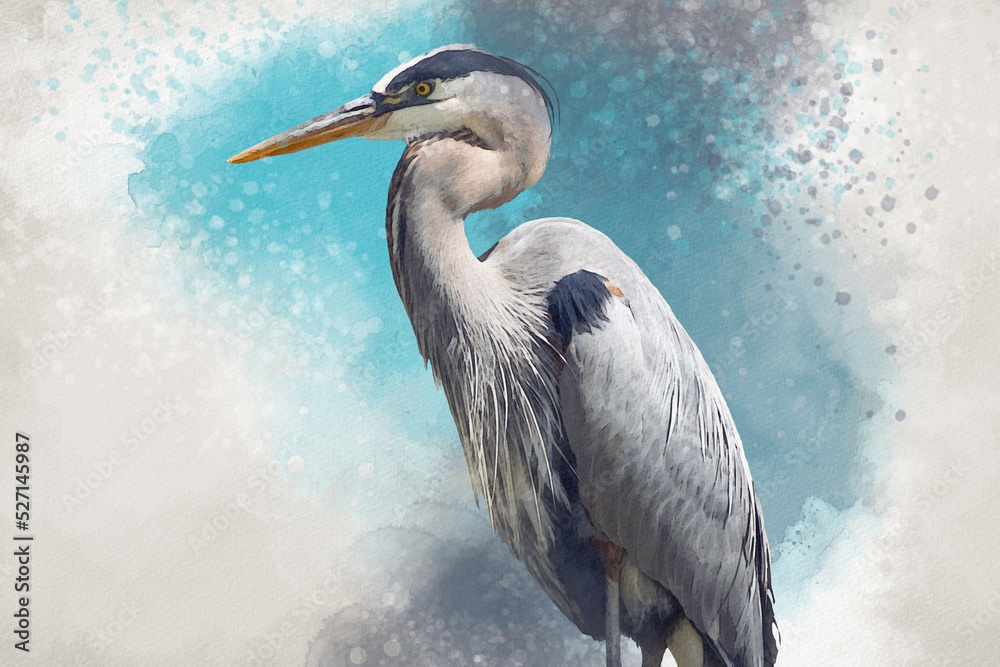 Watercolor - portrait of a heron. Hand drawn watercolor heron perfect ...