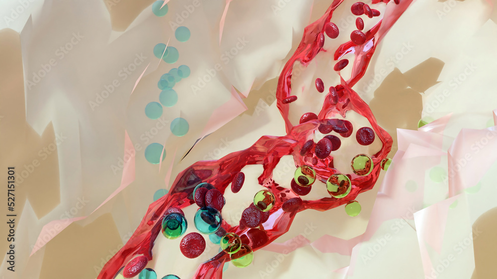 pituitary gland secretes follicle-stimulating hormone, or FSH, and ...