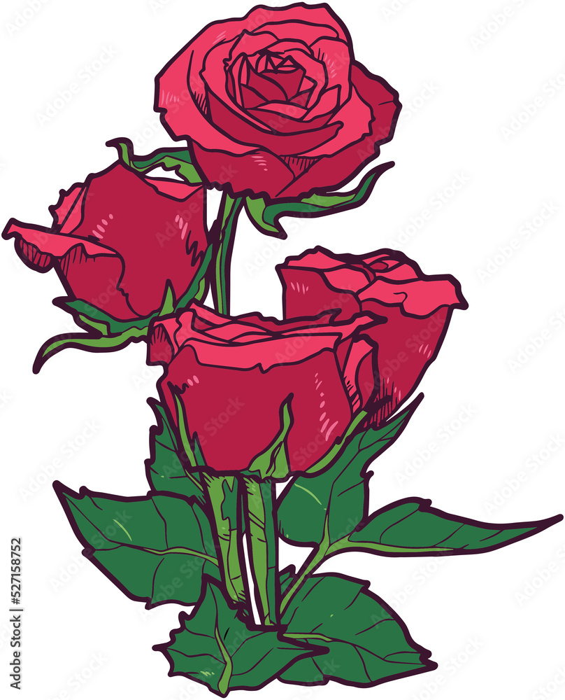 Rose PNG Transparent Background Flower Illustration Stock Illustration ...