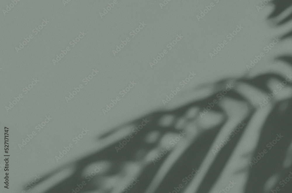 wall textures with nature shadows overlays Stock Photo | Adobe Stock