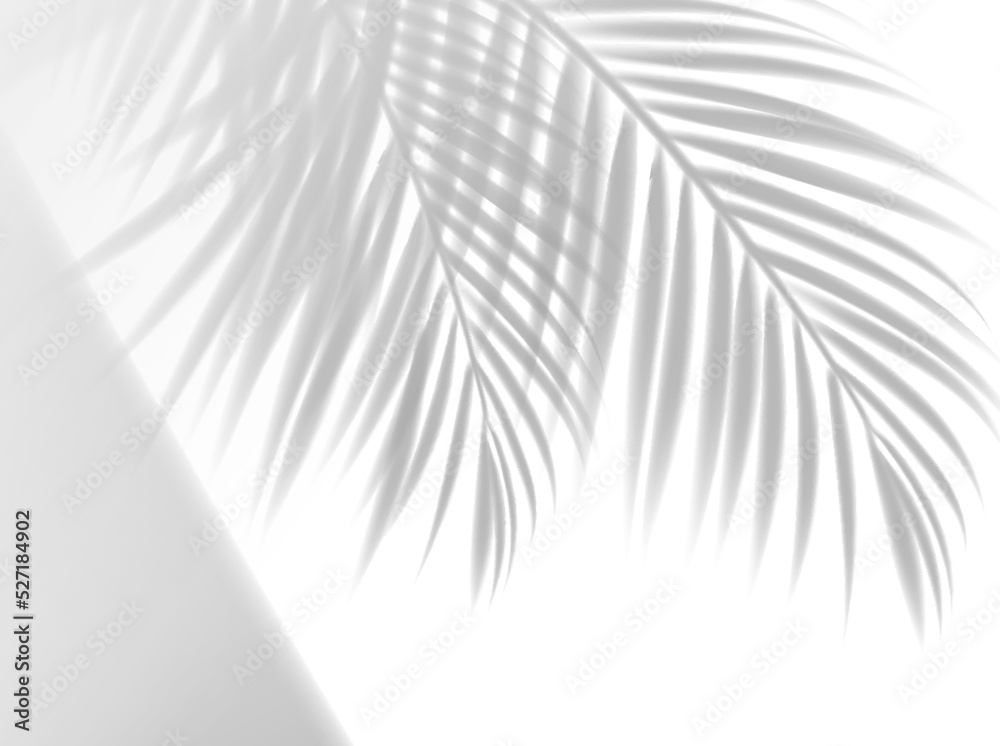 Palm leaves shadow background overlay effect with vector shade of ...