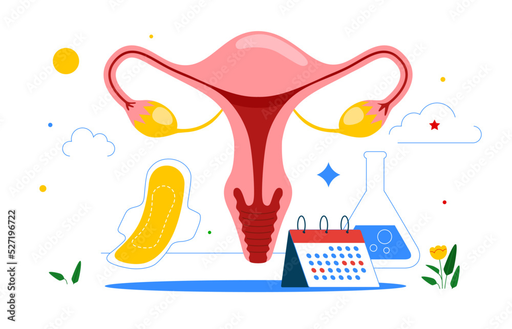 Tracking Menstrual Cycle And Female Reproductive System Menstruation
