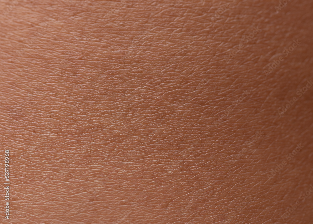 Human skin texture background,brown skin Stock Photo | Adobe Stock