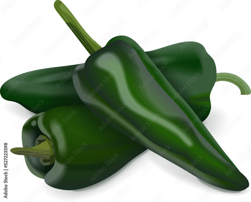 Group of poblano pepper for banners, flyers, posters, social media ...