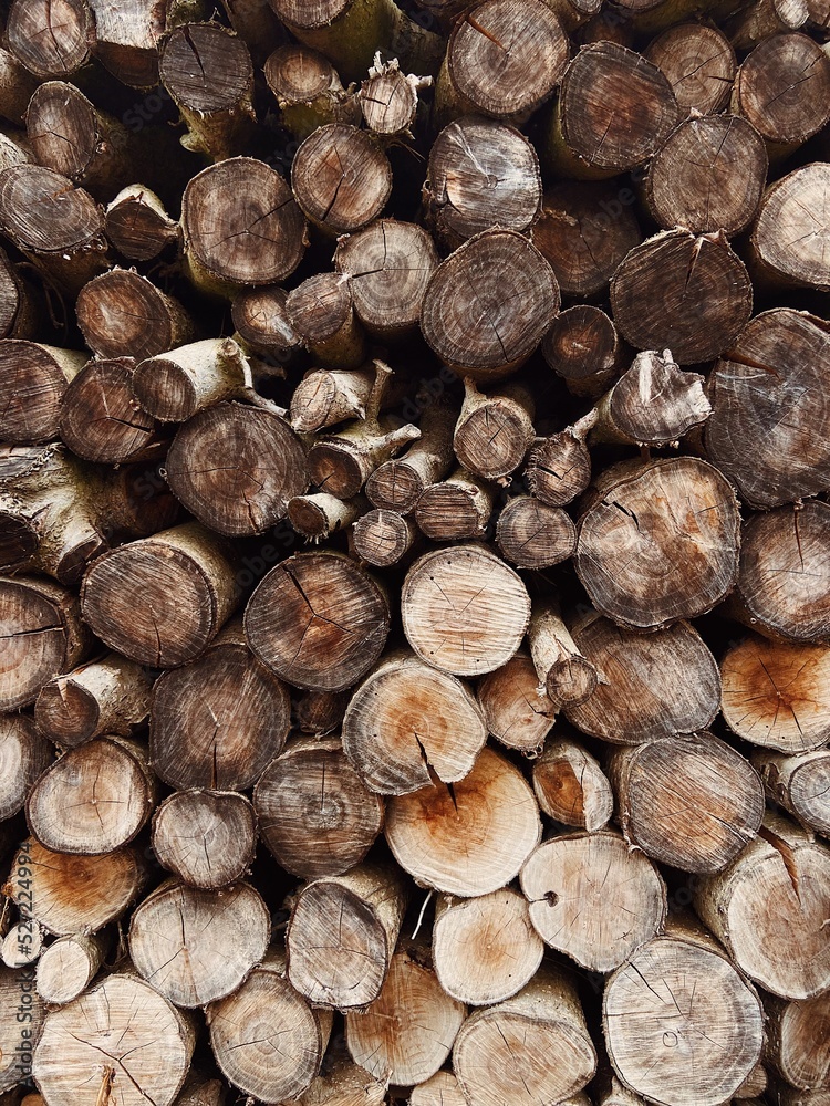 Textura de leña Stock Photo | Adobe Stock