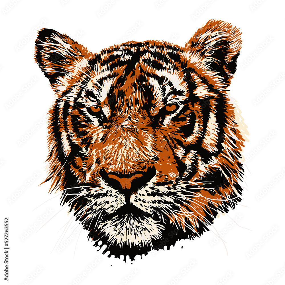 Tiger head, graphic style illustration. Isolated hand drawn design ...