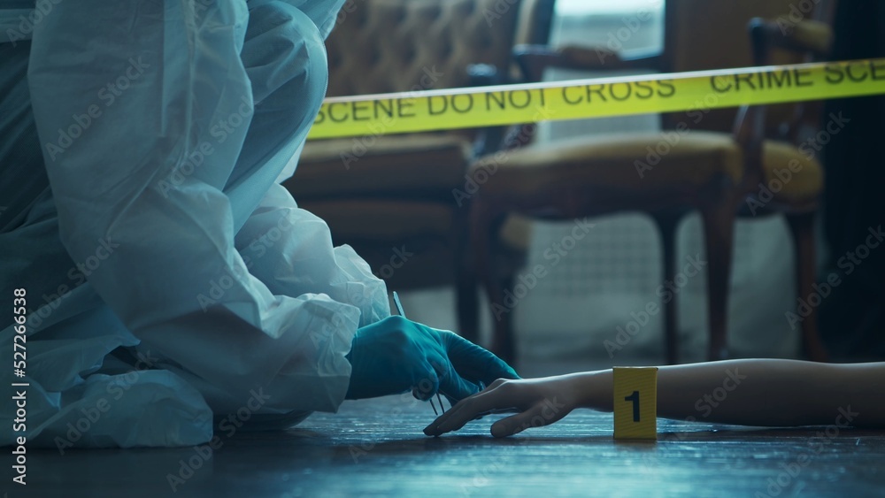 Detective Collecting Evidence in a Crime Scene. Forensic Specialists ...
