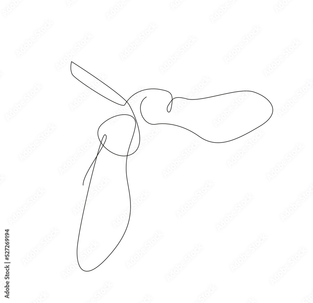 One line maple seeds. Vector line art tree seed. outline botanic ...