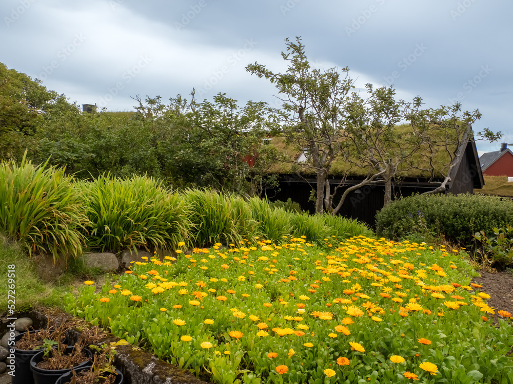 Tinganes, the historical core of Torshavn, the capital of the Faroe ...