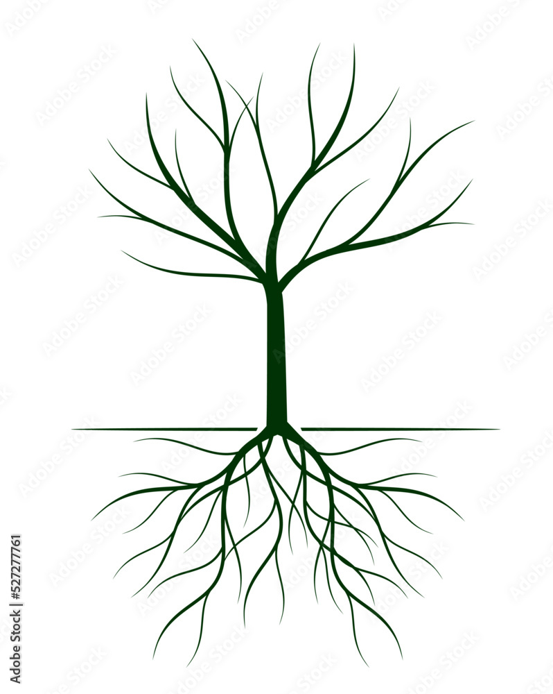 Green Tree with Roots. Vector outline Illustration. Stock Vector ...