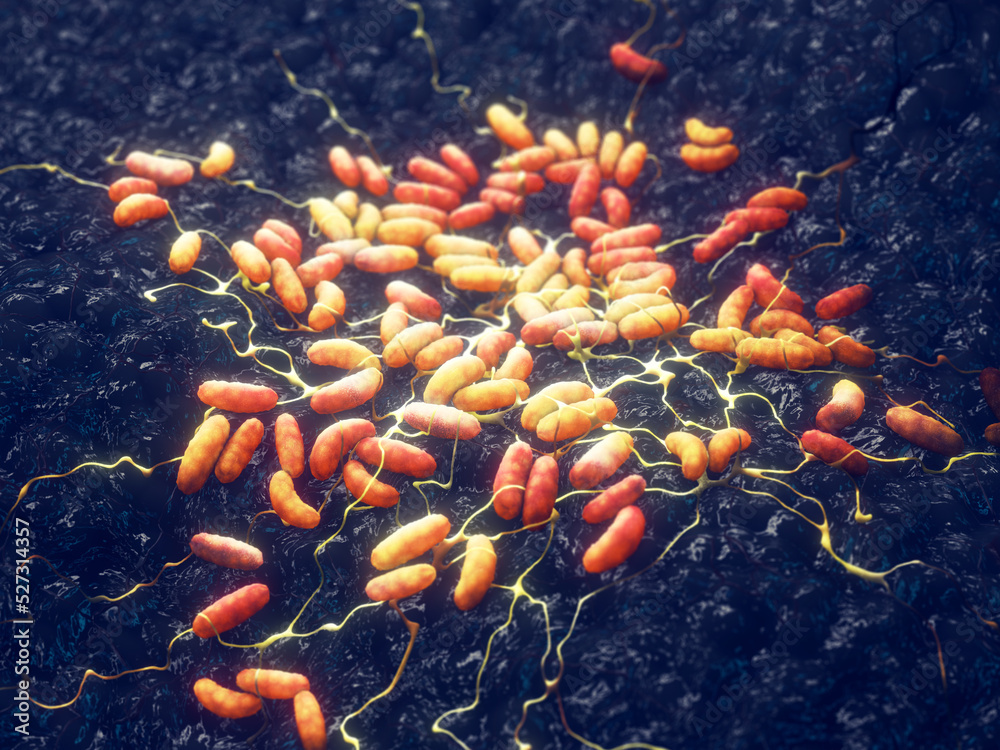 Plague is an infectious disease caused by Yersinia pestis bacteria ...