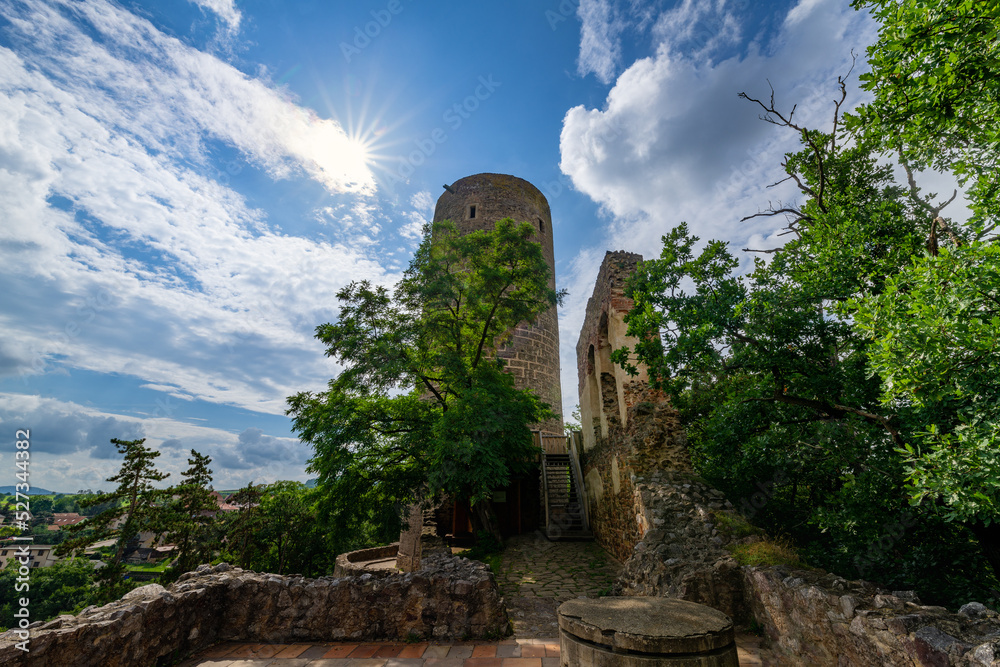 Castle Zebrak - probably the oldest aristocratic castle with two round ...