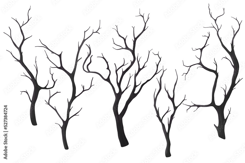 Hand drawn tree branches collection. Set of black branches without ...