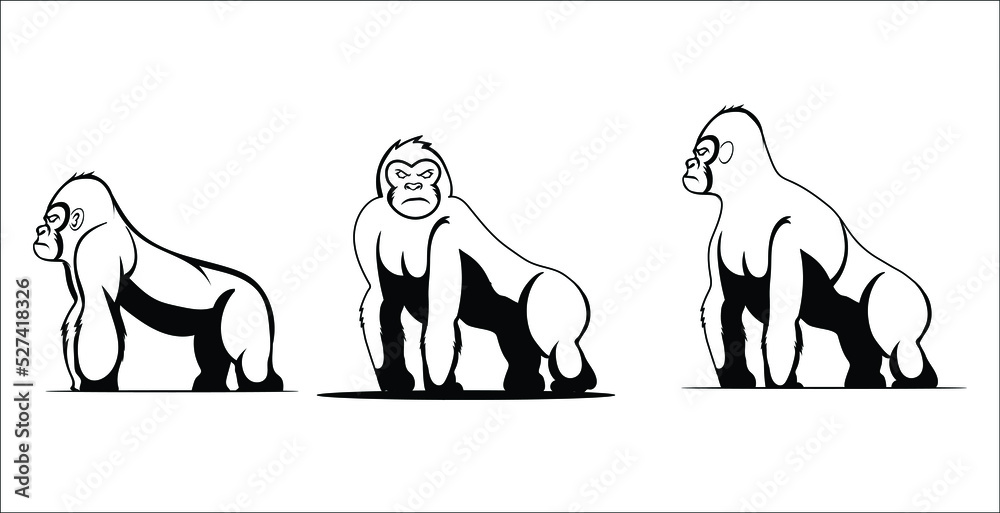 Gorilla standing positions vector drawing Stock Vector | Adobe Stock