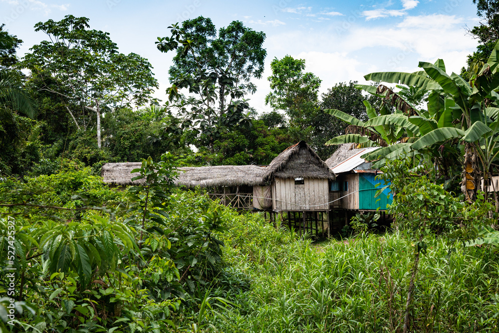Buildings on stilts in the Amazon rainforest jungle in Peru. Stock ...