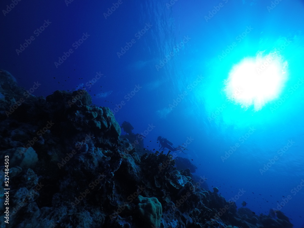 Scuba diving with Manta ray in Pohnpei, Micronesia（Federated States of ...