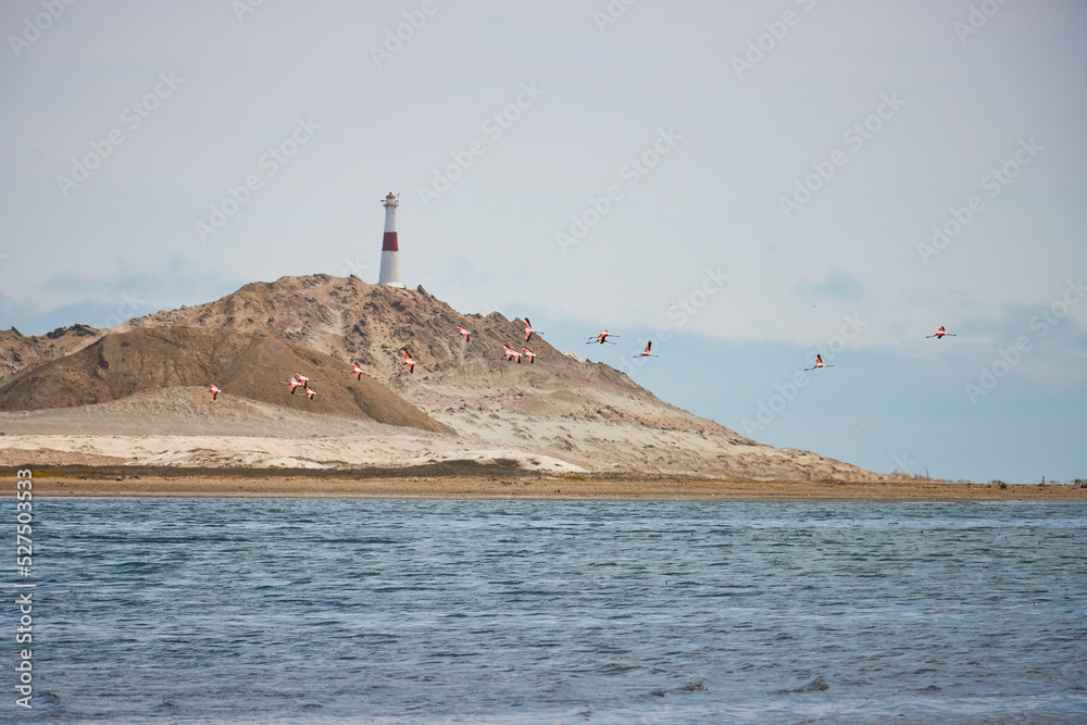 Foto de Humedales de Punta Balcones, Negritos, Talara - Perú. do Stock ...